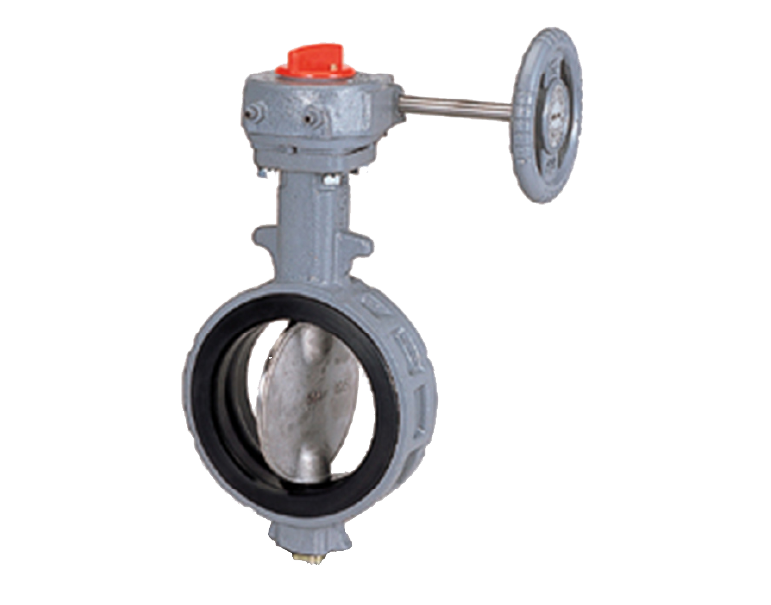 Seval - Giải pháp số cho dòng chảy Việt
